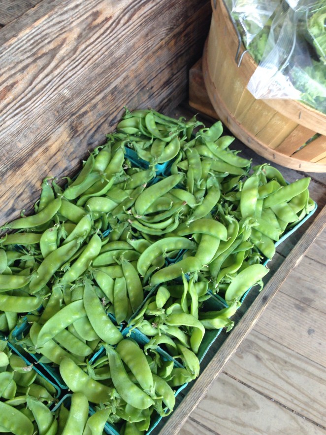 Ithaca Farmer’s Market | Anthony Leberto